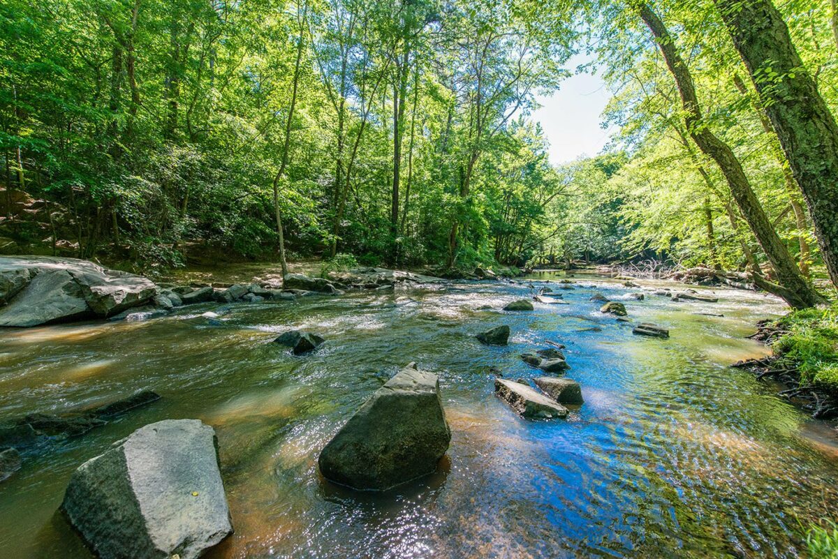 Umstead State Park – The Hamptons at Umstead